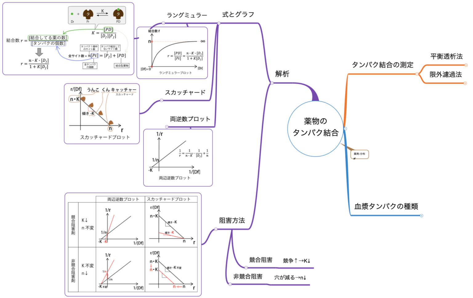 薬学：Langmuir式からScatchard・両辺逆数プロットの導出。(非)競合阻害とグラフの変化 | マインドマップ薬学